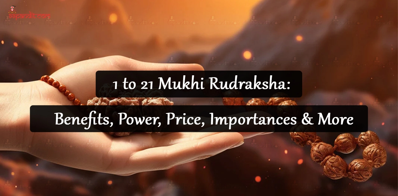 1 to 21 Mukhi Rudraksha Bead: Benefits, Power, & More